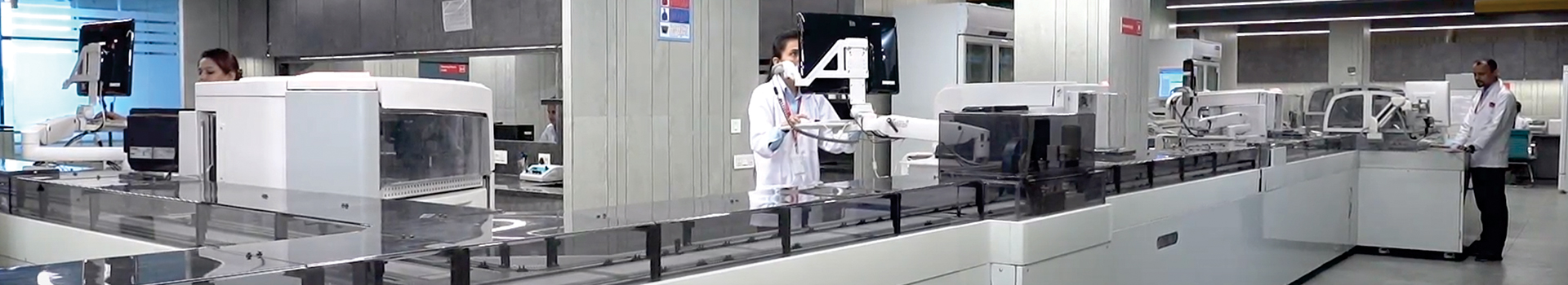 Terms and Conditions