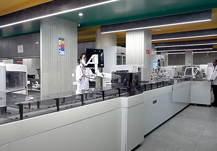 Terms and Conditions